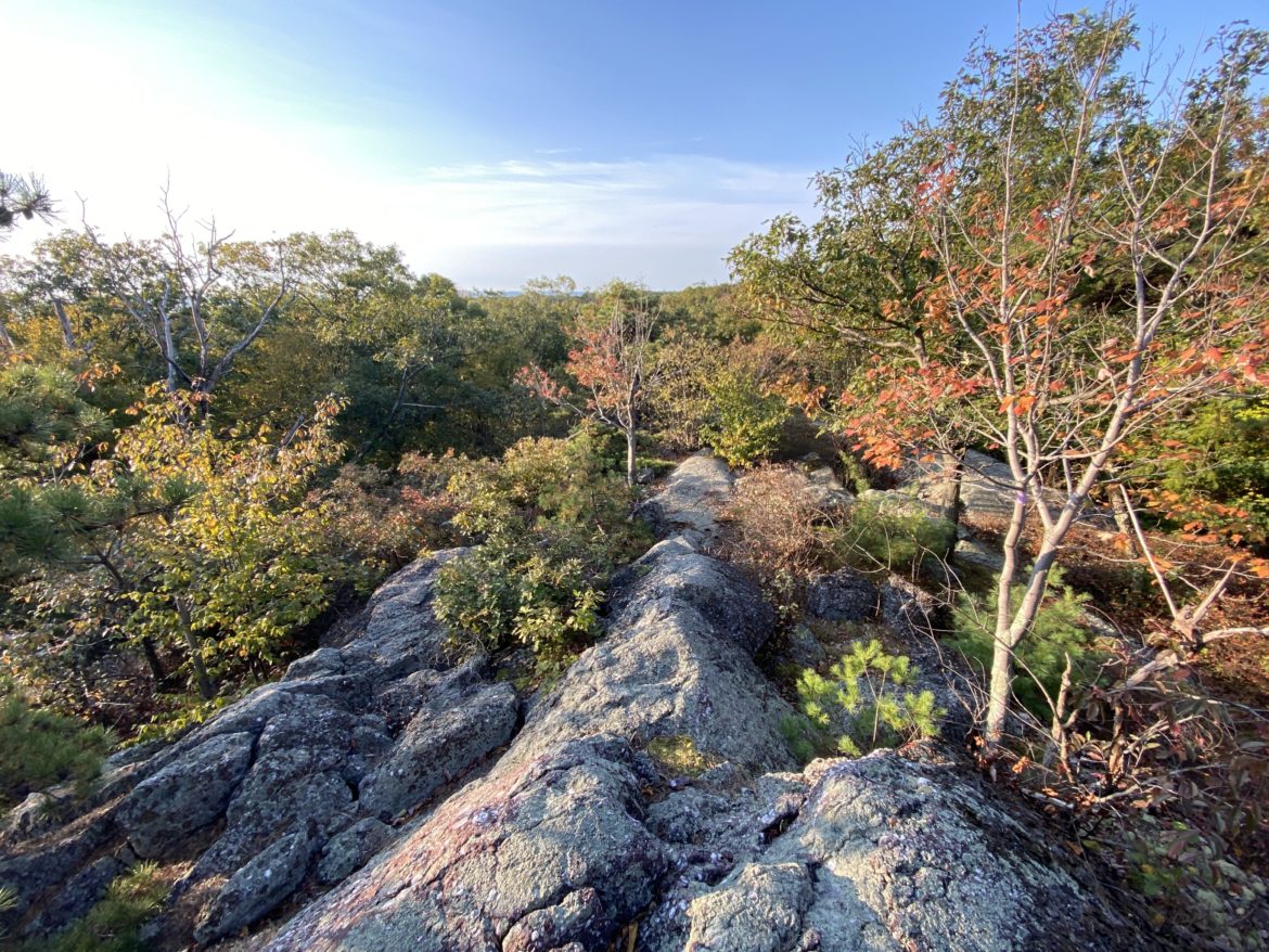 West Ridge & Bearfort Ridge Trail & Surprise Lake - Take a Hike!