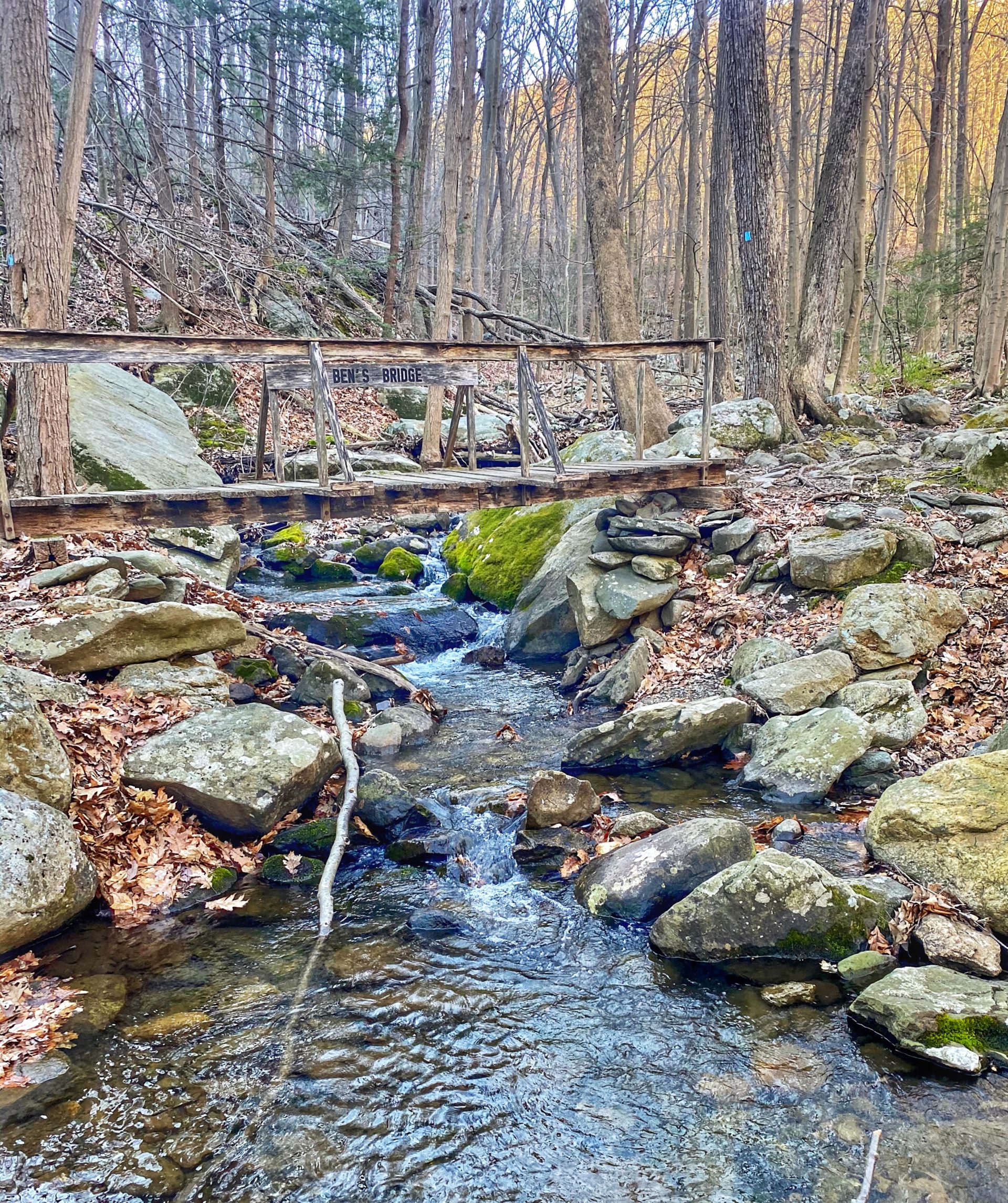 Black Rock Forest - Southern Ledges - Take a Hike!