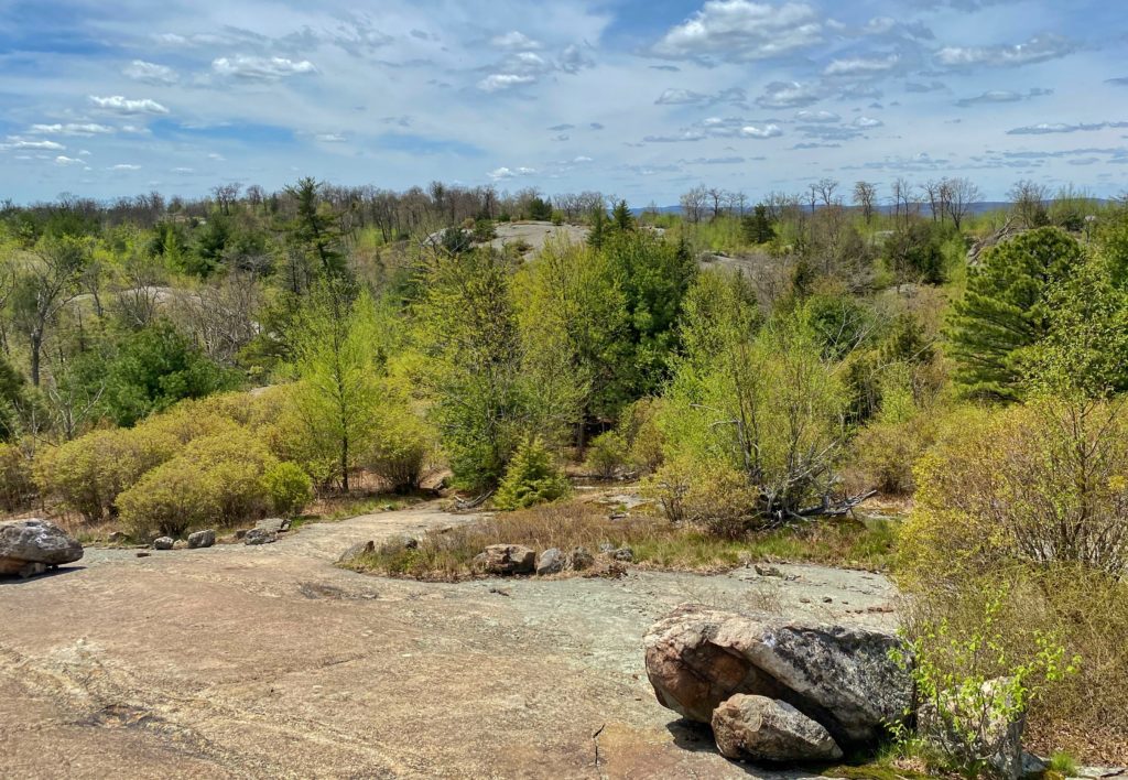 Bald Rocks & Hogencamp Mountain - Harriman State Park - Take a Hike!