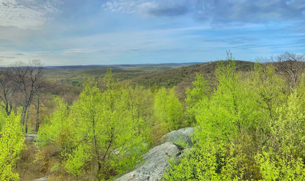 Bald Rocks & Hogencamp Mountain - Harriman State Park - Take a Hike!