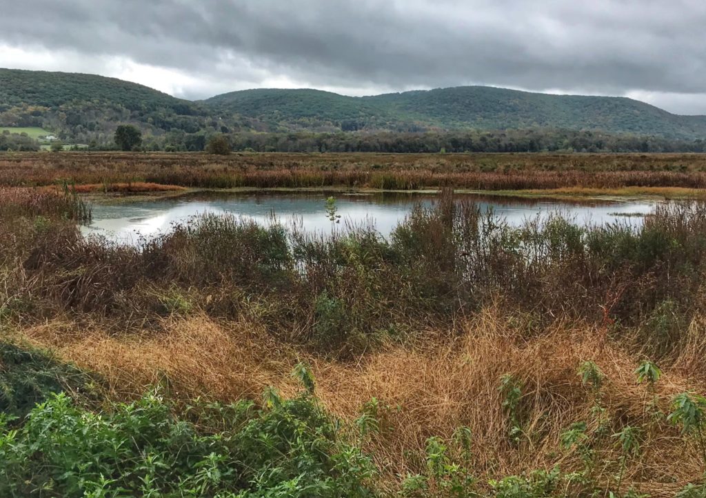 Liberty Loop Trail - Wallkill River National Wildlife Refuge - Take a Hike!