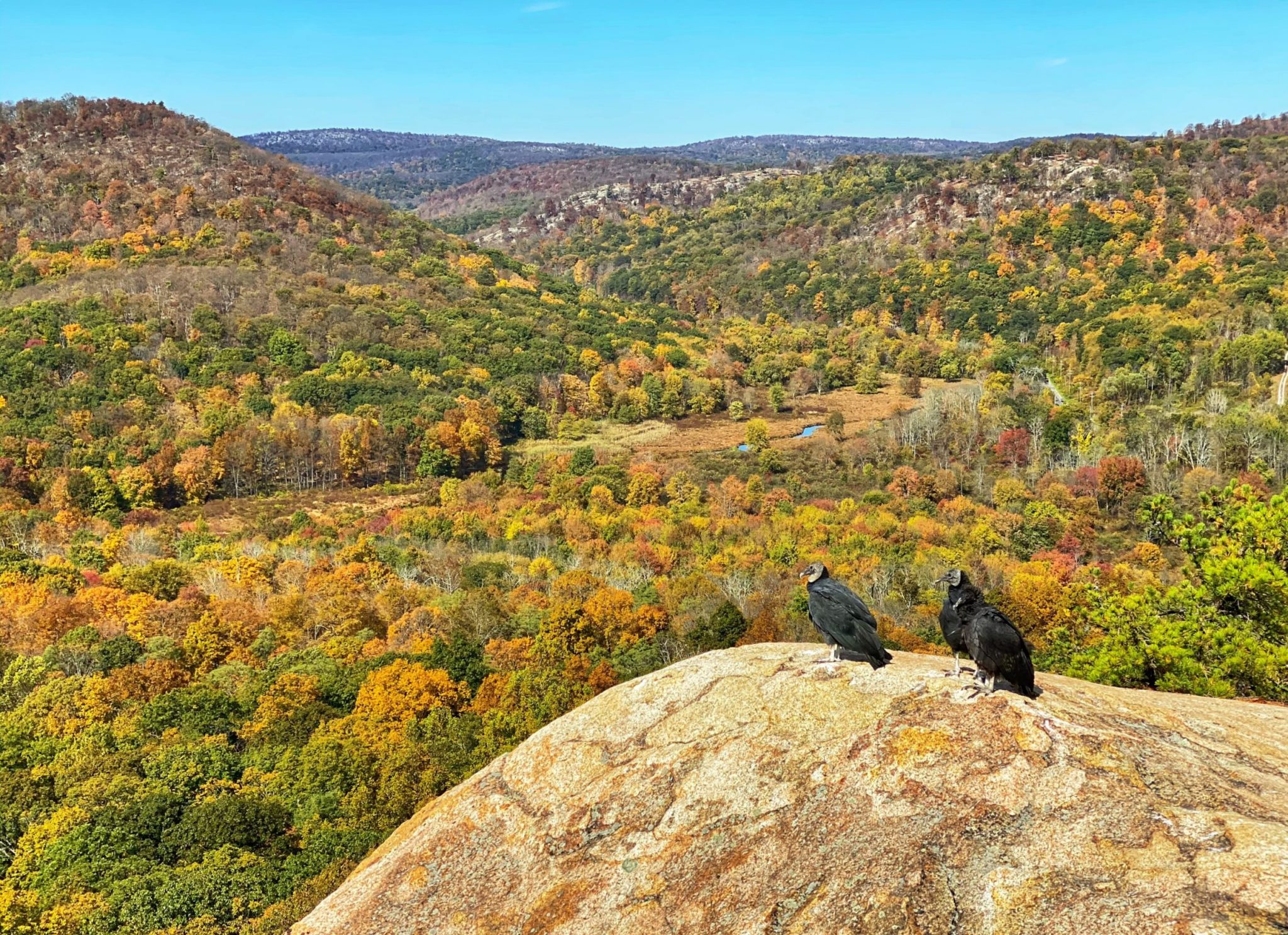 Bear Mountain State Park Archives - Take a Hike!