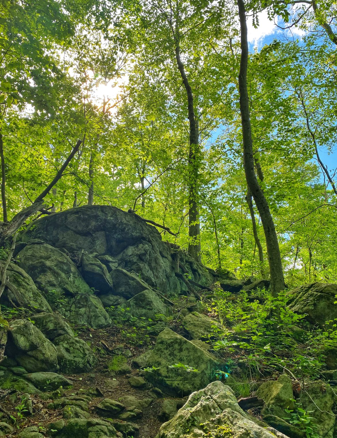 Splitrock Reservoir Loop - Top 10 NJ Hike - Take a Hike!
