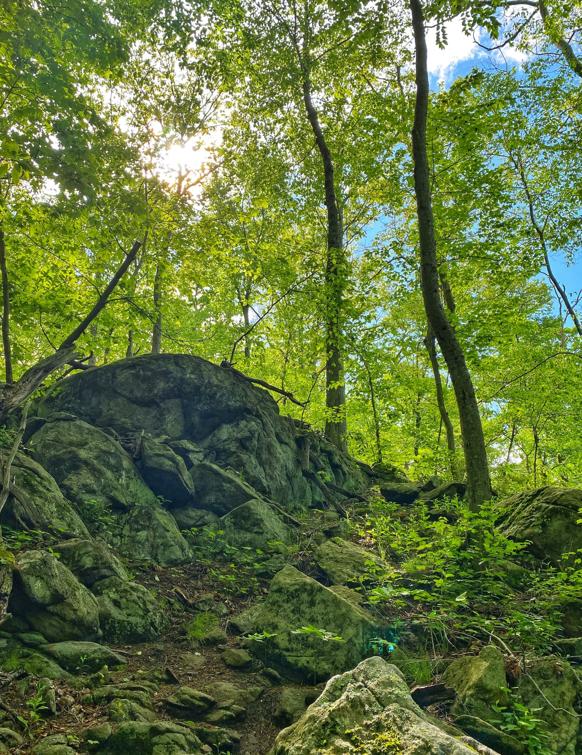 Splitrock Reservoir Loop - Top 10 NJ Hike - Take a Hike!