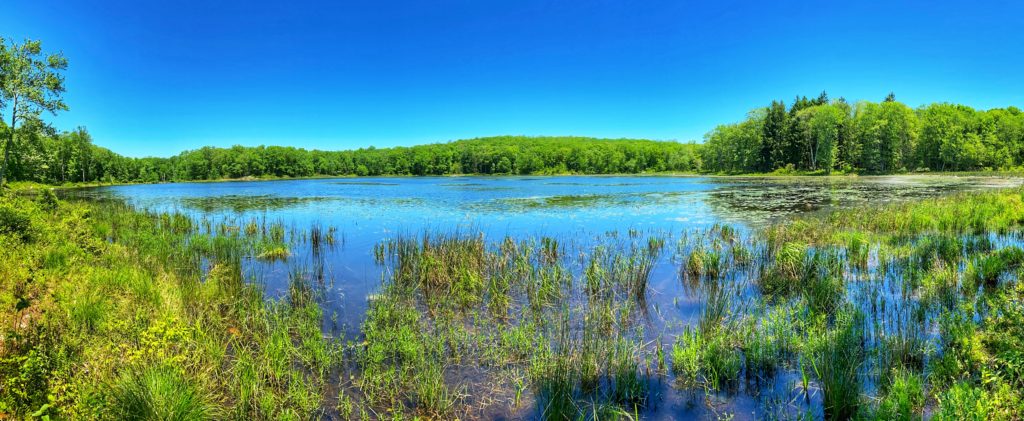 Splitrock Reservoir Loop - Top 10 NJ Hike - Take a Hike!