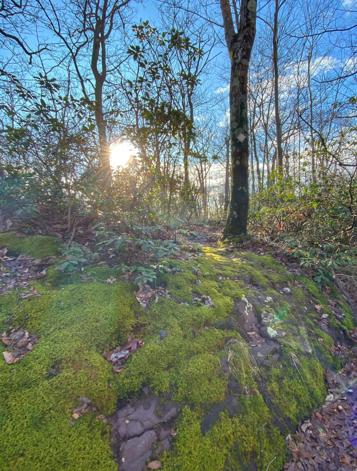 Terrace Pond North - Wawayanda State Park - Take a Hike!