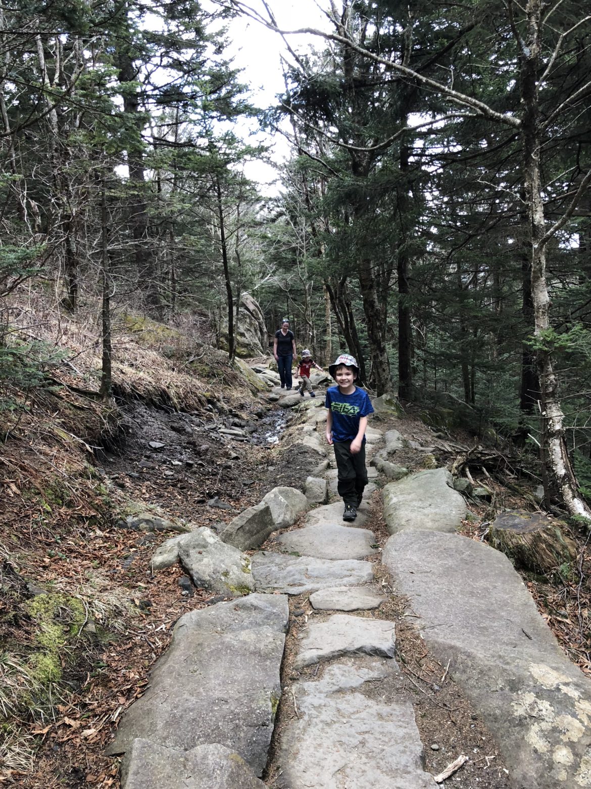 Andrews Bald - Great Smoky Mountains National Park - Take a Hike!