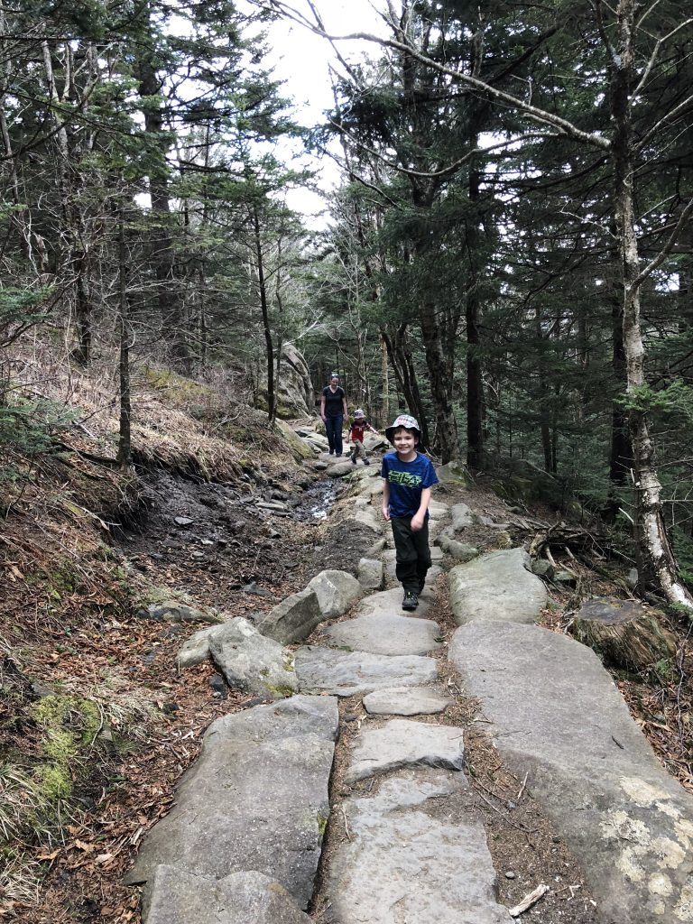 Andrews Bald - Great Smoky Mountains National Park - Take a Hike!