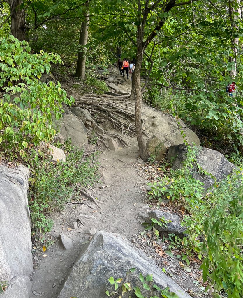 Breakneck Ridge - Hudson Highlands State Park Preserve - Take a Hike!