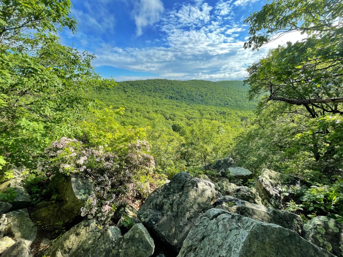 Hawk Mountain Loop | Take a Hike!