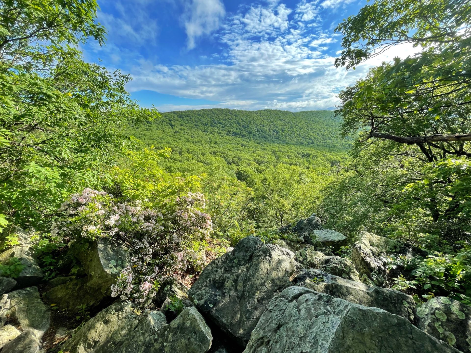 Hawk Mountain Loop | Take a Hike!