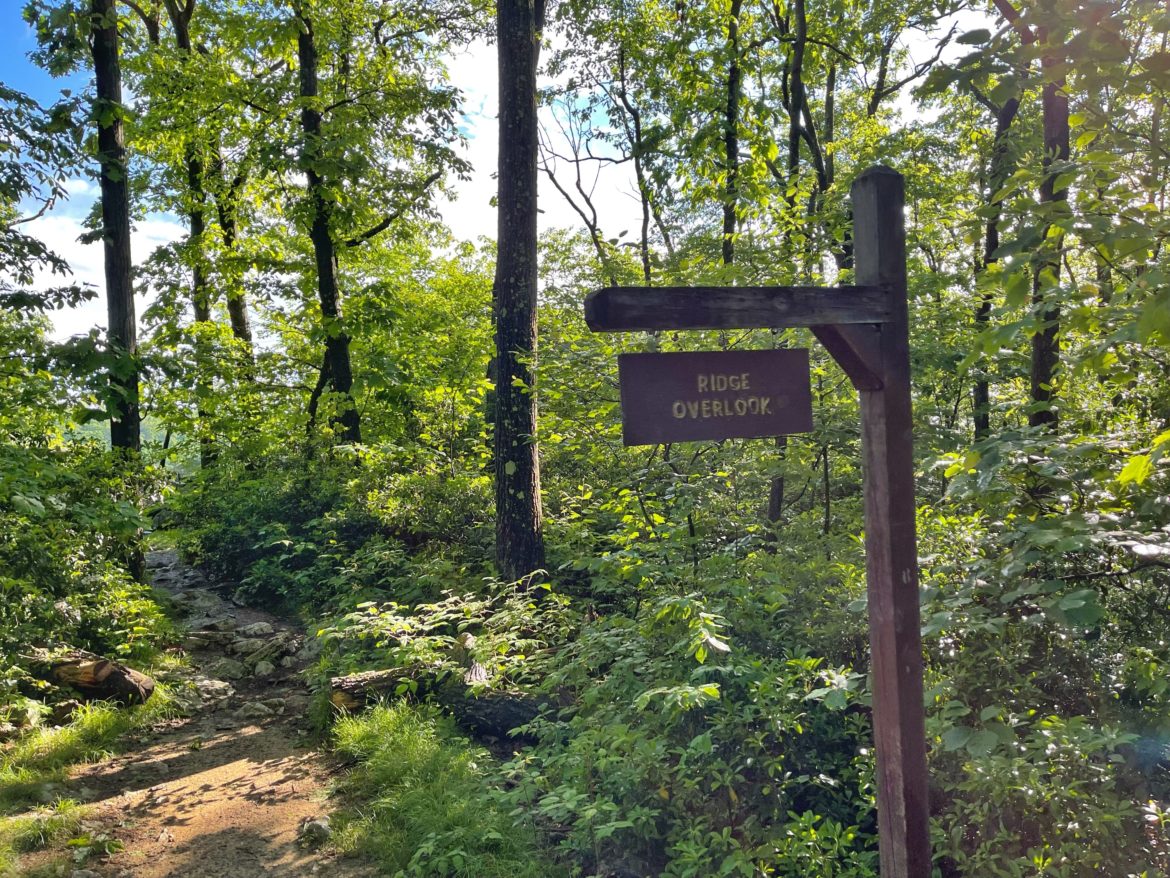 Hawk Mountain Loop | Take a Hike!