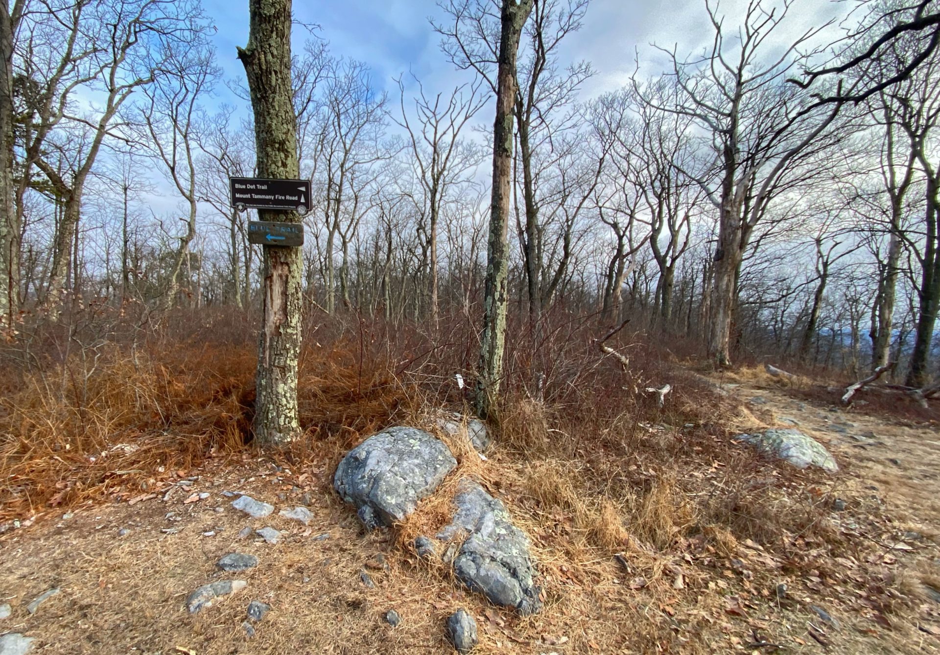 Mt. Tammany & Sunfish Pond Loop - Delaware Water Gap - Take a Hike!