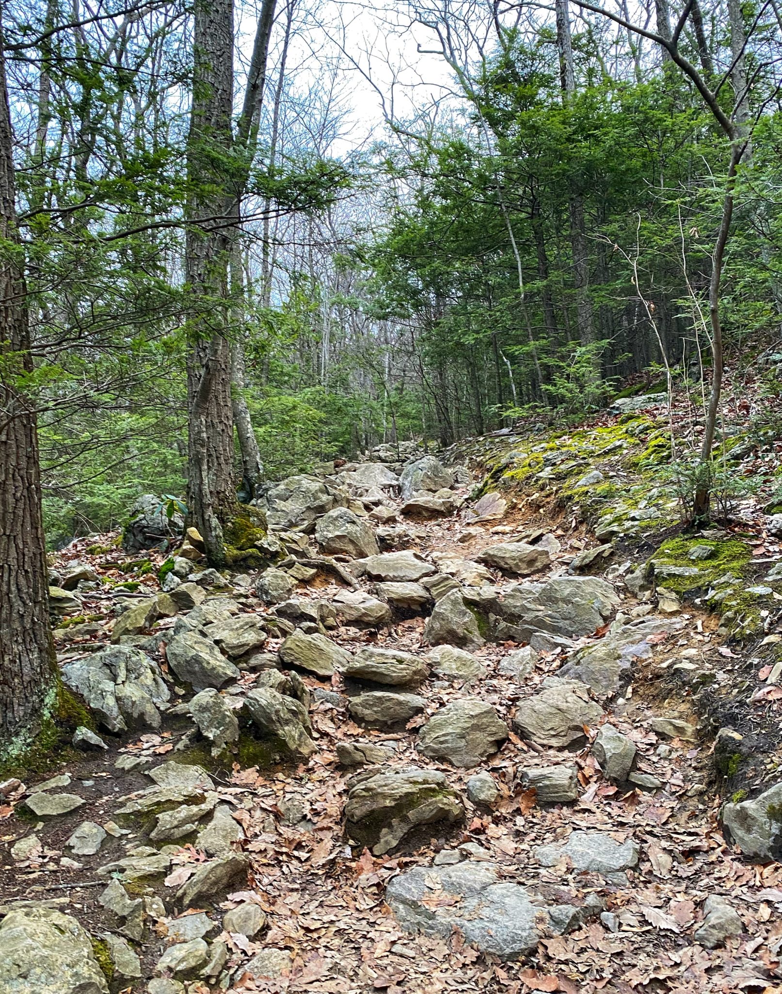 Mt. Tammany & Sunfish Pond Loop - Delaware Water Gap - Take a Hike!
