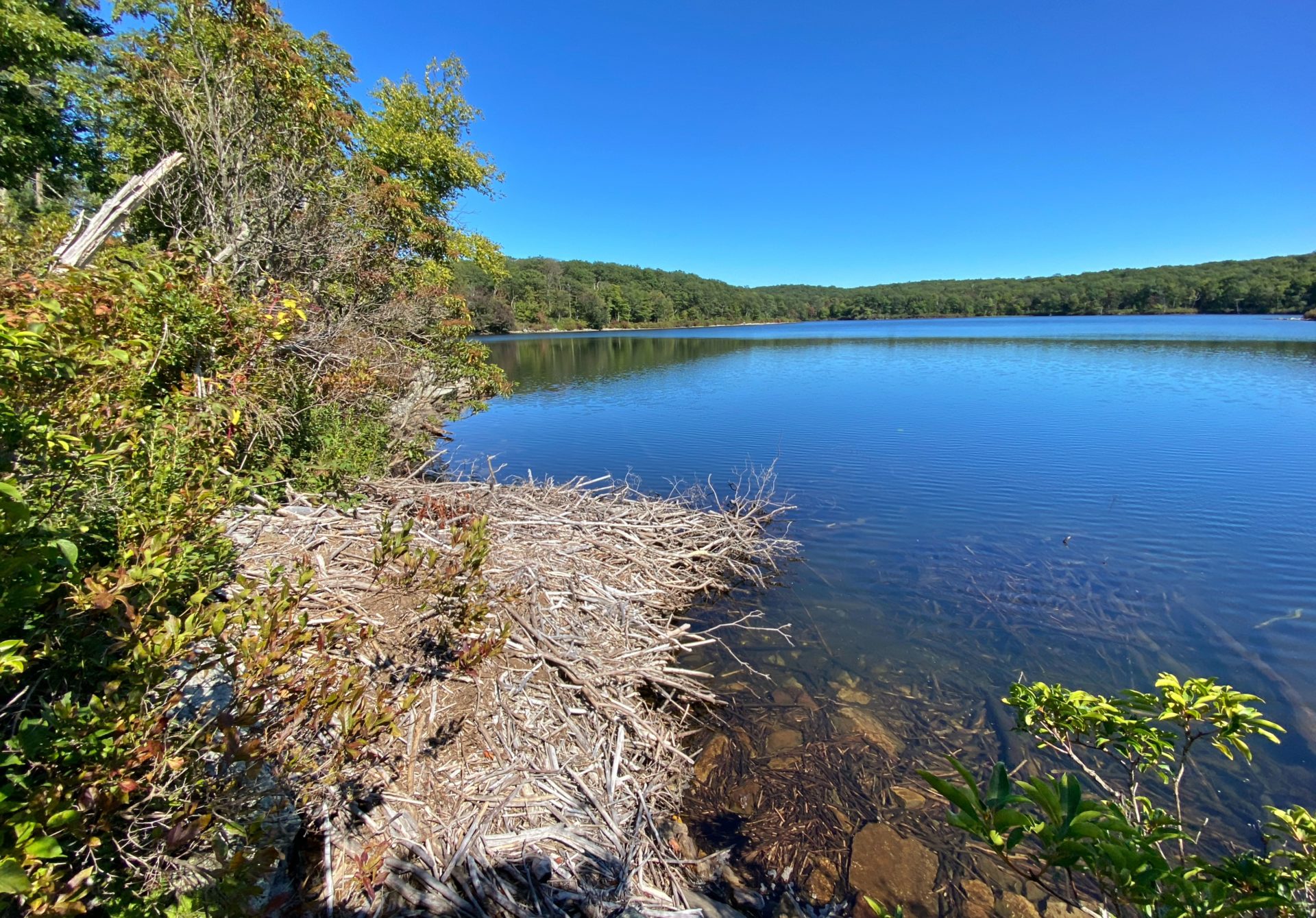 Sunfish Pond: A Brief History - Take a Hike!