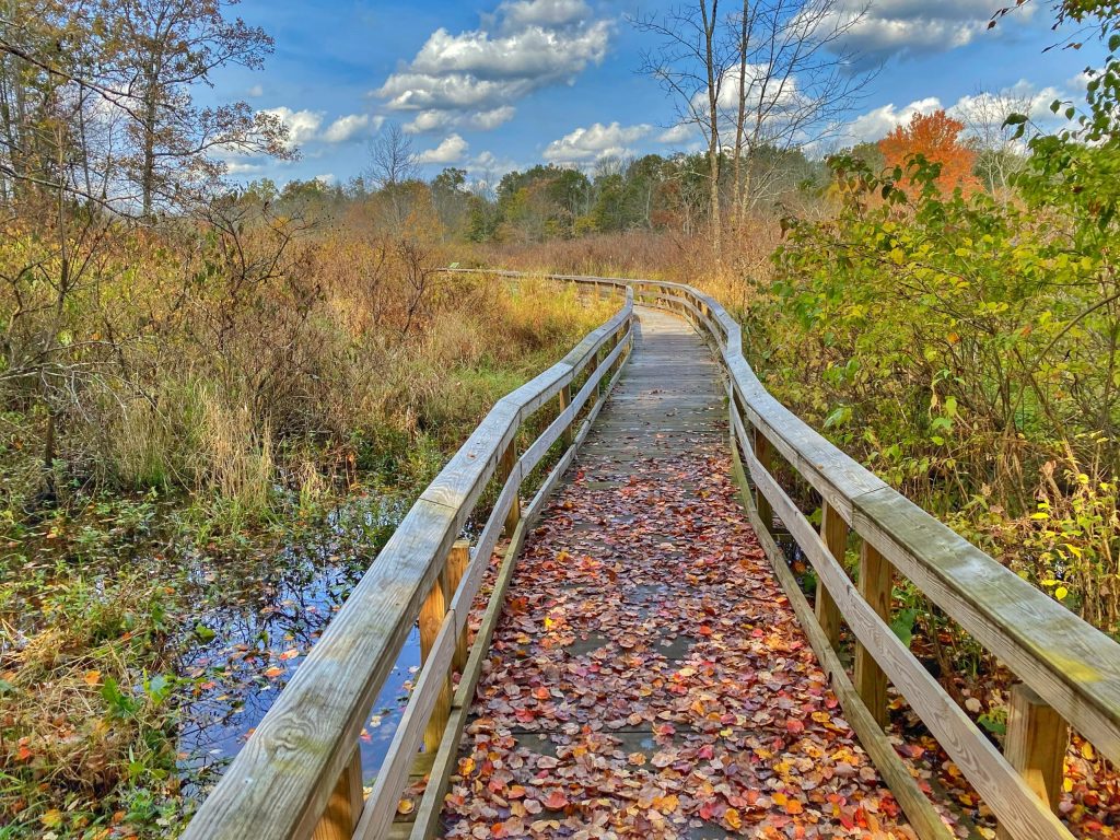 Lord Stirling Park Archives - Take a Hike!