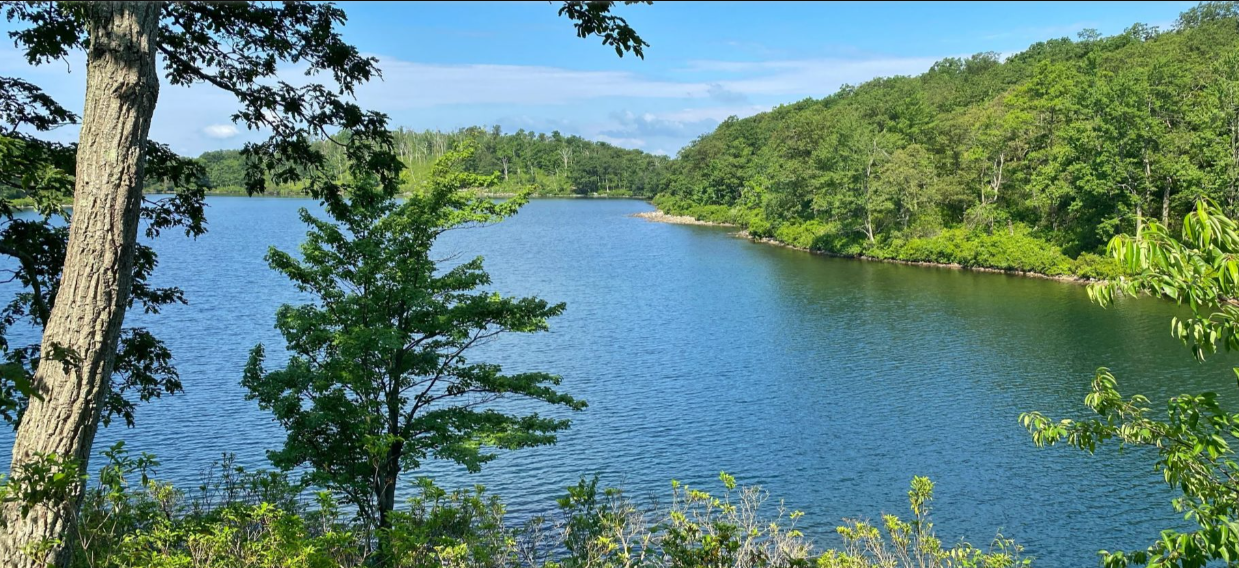Mt. Tammany & Sunfish Pond Loop - Delaware Water Gap - Take a Hike!