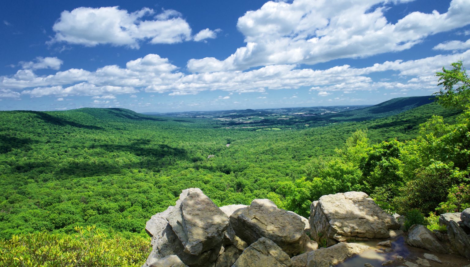 Hawk Mountain Loop | Take a Hike!