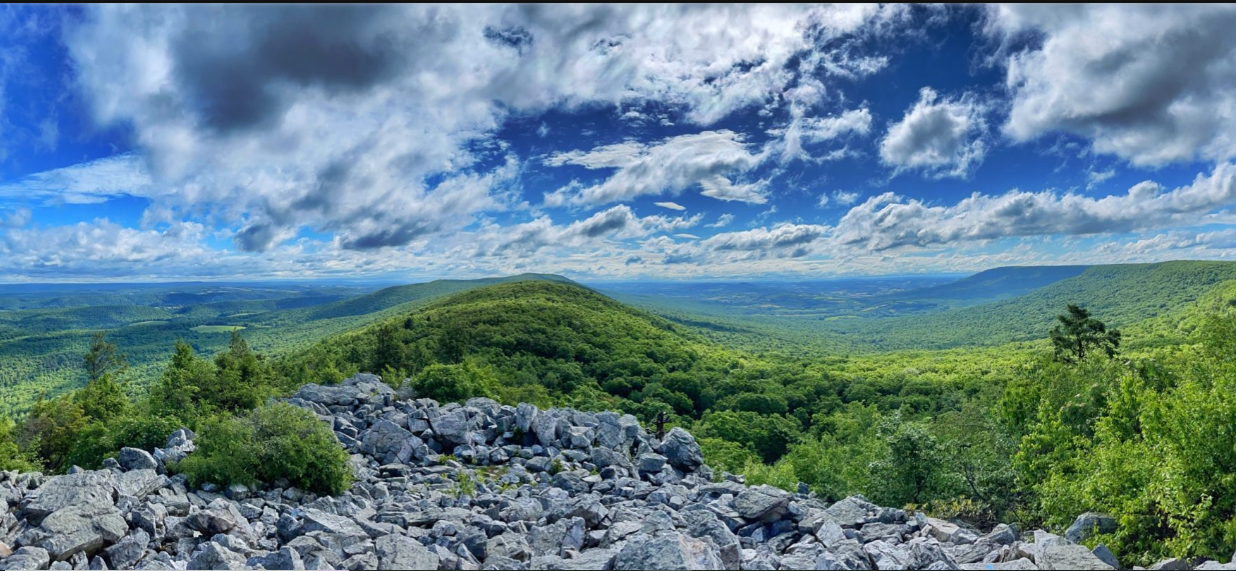 Hawk Mountain Sanctuary Archives - Take a Hike!