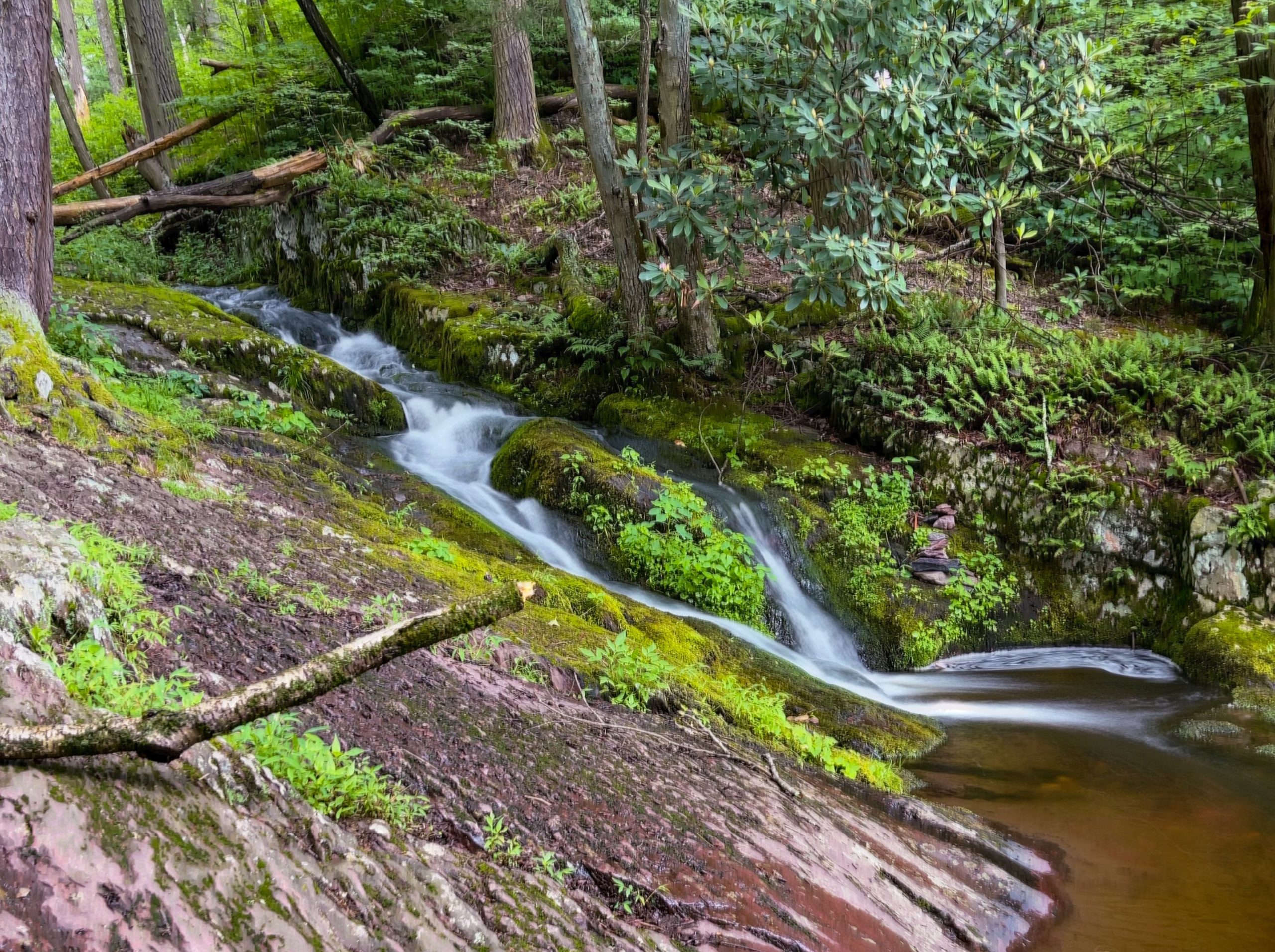 Tillman Ravine & Tea Cup - Stokes State Forest - Take a Hike!
