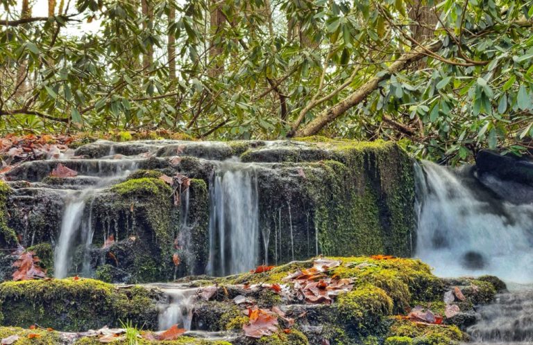 Stairway to Heaven Trail - Wawayanda State Park - Take a Hike!