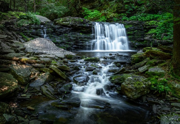 Stairway to Heaven Trail - Wawayanda State Park - Take a Hike!